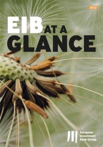 The EIB Group Climate Bank Roadmap 2021-2025