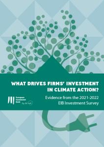 The EIB Group Climate Bank Roadmap 2021-2025