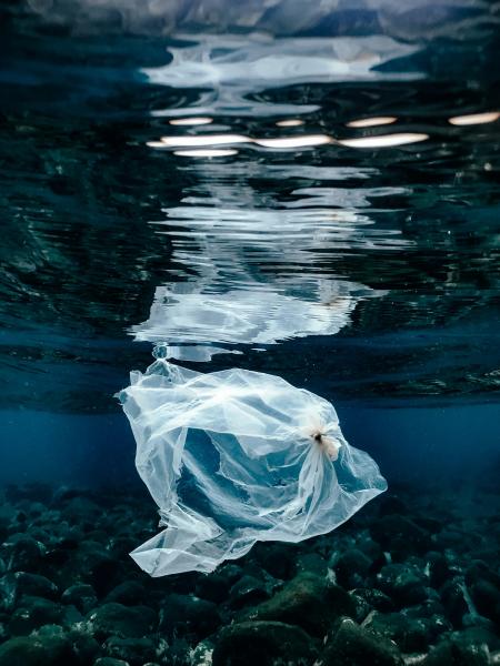 Public development banks launch Clean Oceans Initiative 2.0 after ...