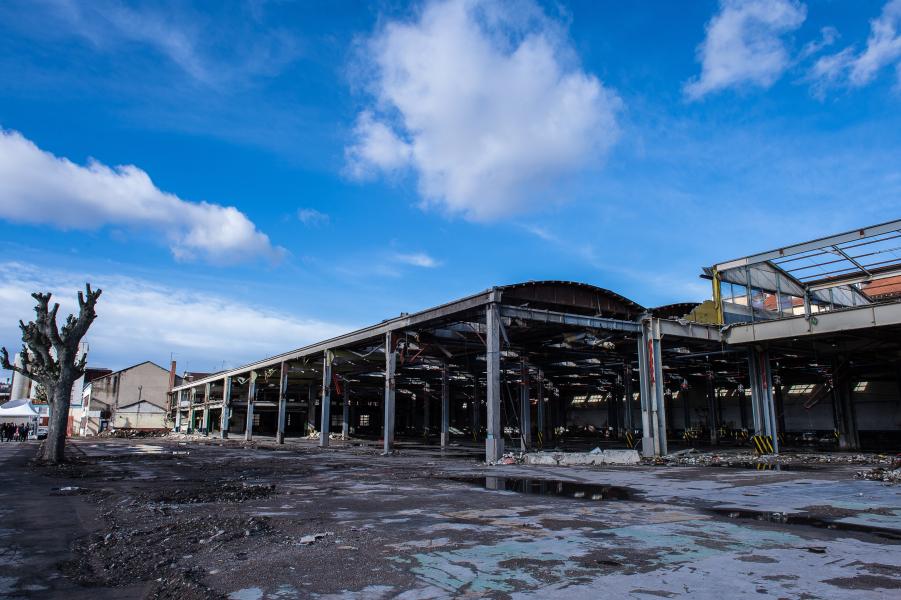 Land decontamination: the green answer to urban sprawl