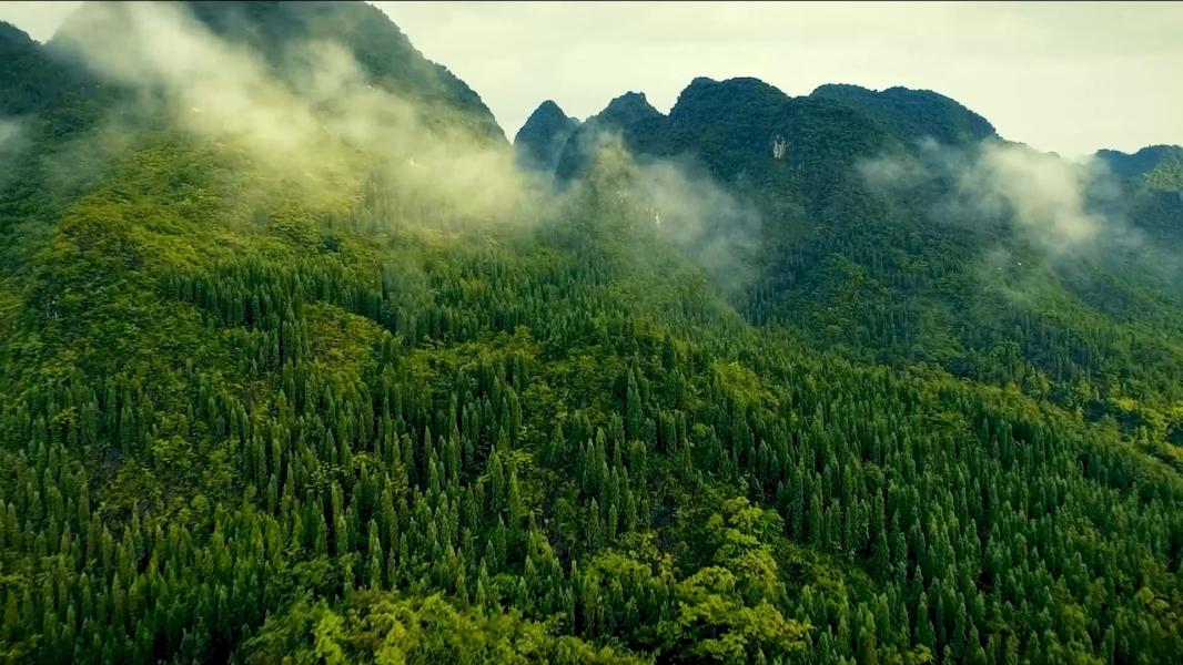 EIB and European Environment Agency deepen cooperation over ...