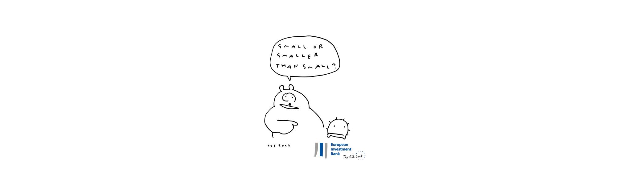 What are micro-enterprises and why do we support them?