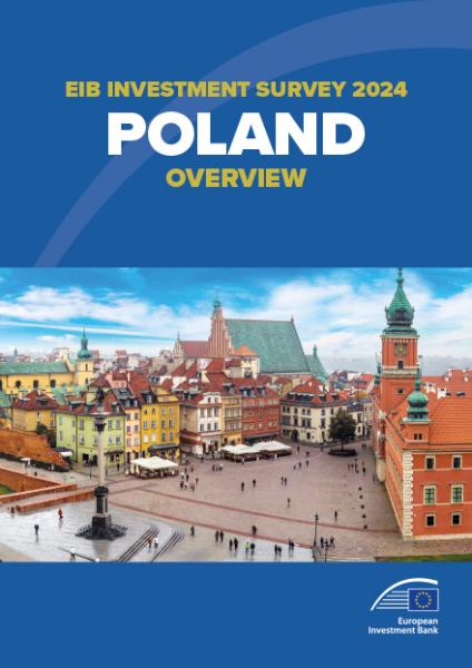 Polish firms more upbeat about economic outlook, take measures to ...