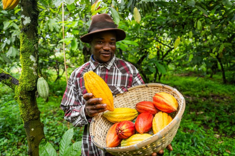 Support for Ivory Coast cocoa that avoids deforestation