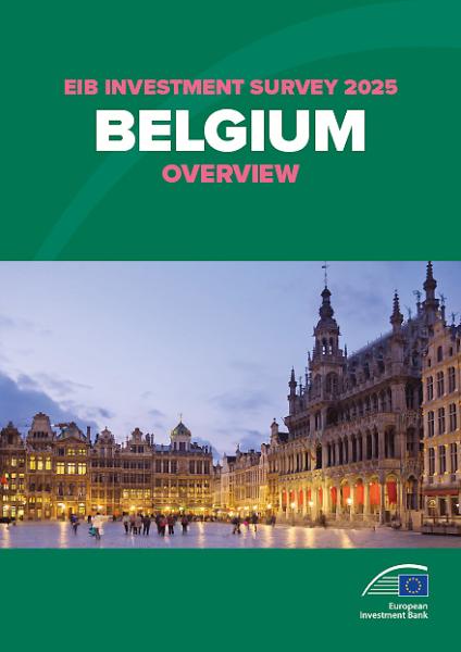 EIB Investment Survey 2025: Belgium overview