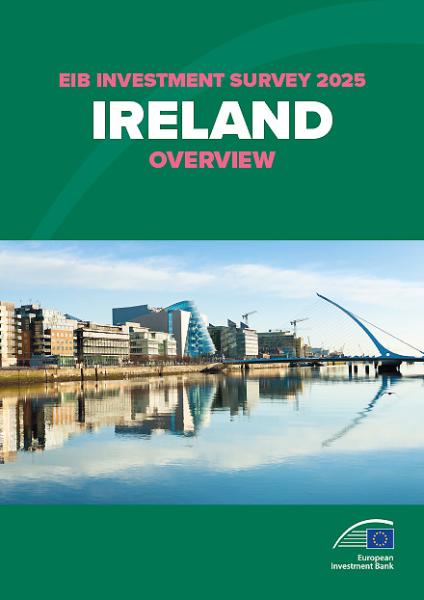 EIB Investment Survey 2025: Ireland overview