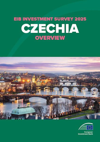 Czech firms outpace EU peers in AI adoption and innovation, EIB survey ...