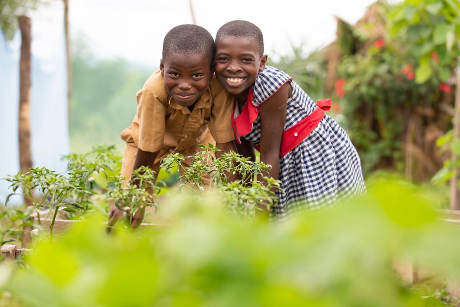 How to tackle the climate and education crises together