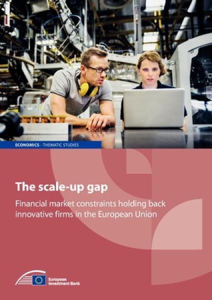 The scale-up gap: Financial market constraints holding back innovative ...