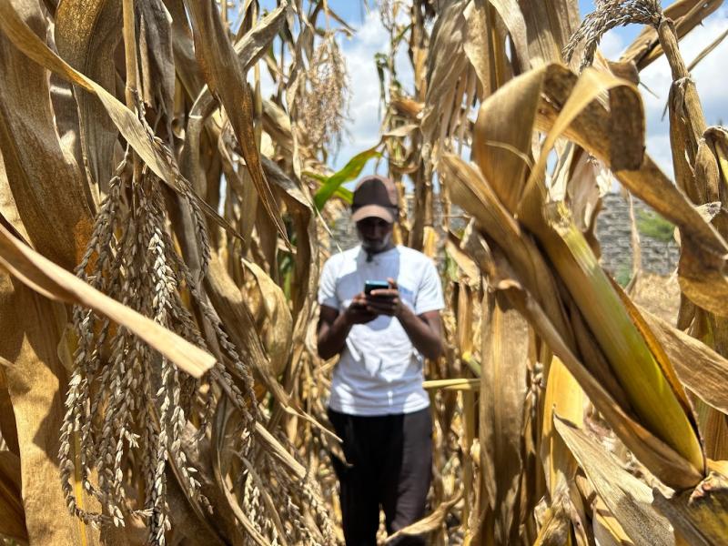 Kenya moves to become green energy leader and Africa’s innovator