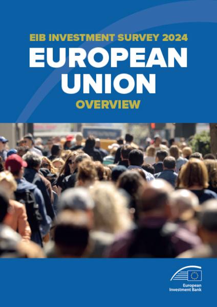 EIB Investment Survey 2024: More than 60% of European companies have ...