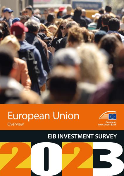 EIB Investment Survey - European Union Overview