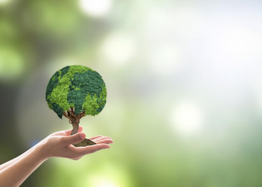 Climate action technical assistance programmes help the world respond ...