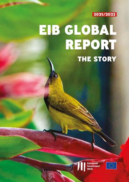 EIB Global Report: The Story